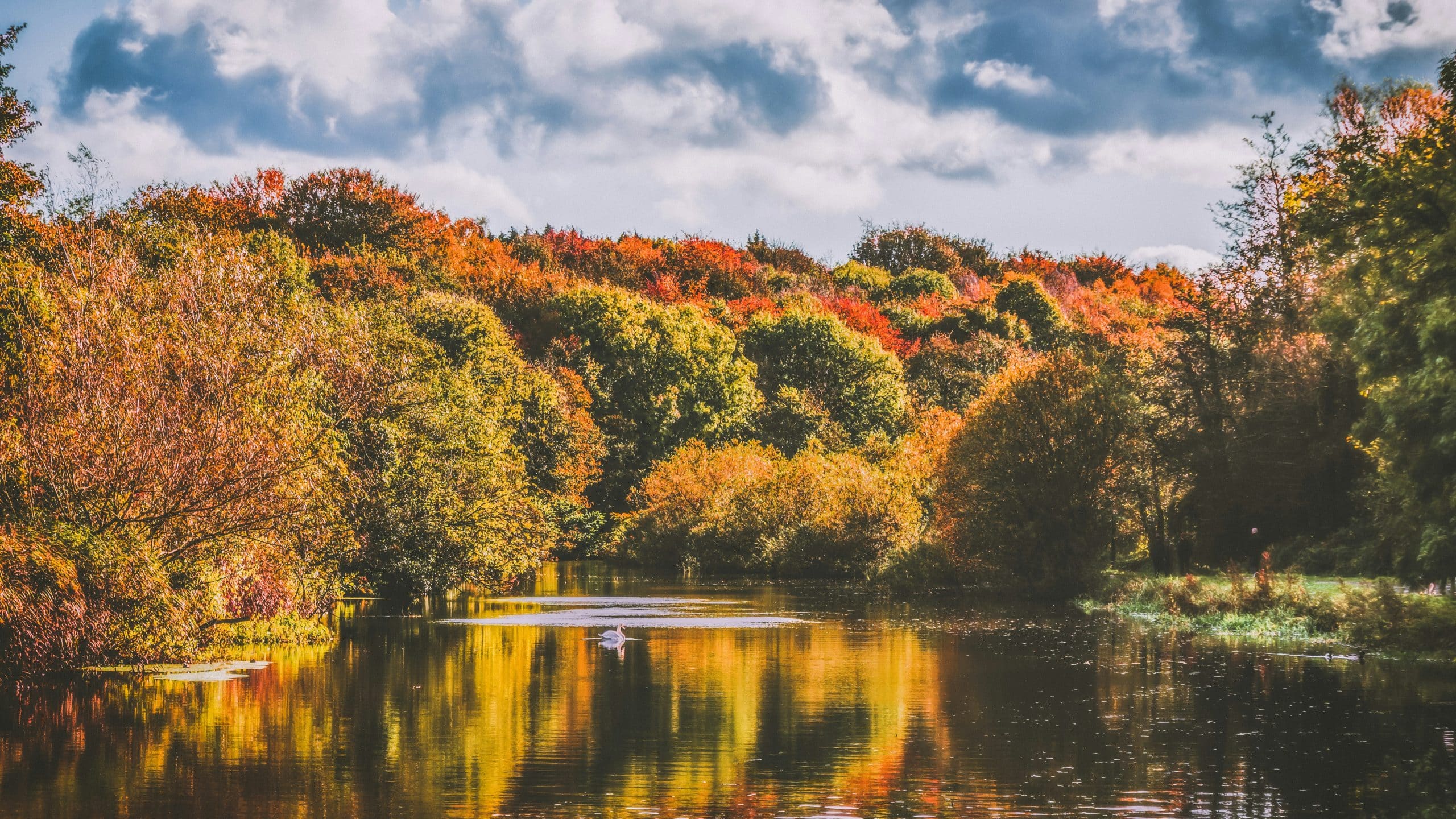 Exploring The Medway Valley Walk