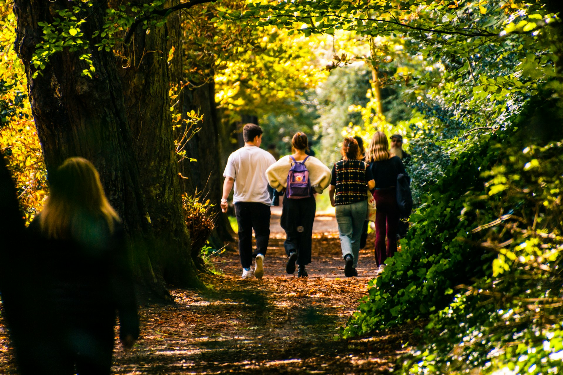 Weekly Wellbeing Walks in Rainham
